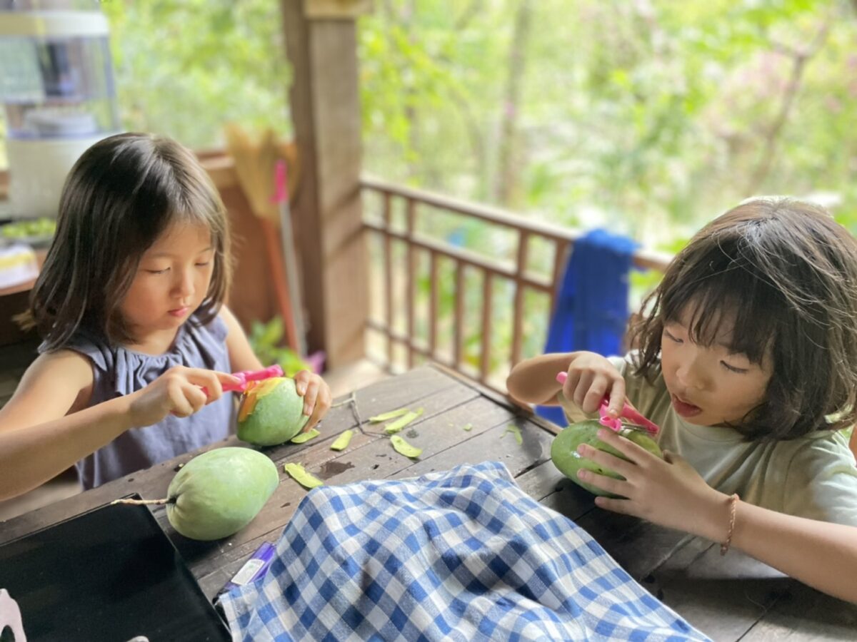 Phnom Penh Steiner Klasse - Education Cambodia